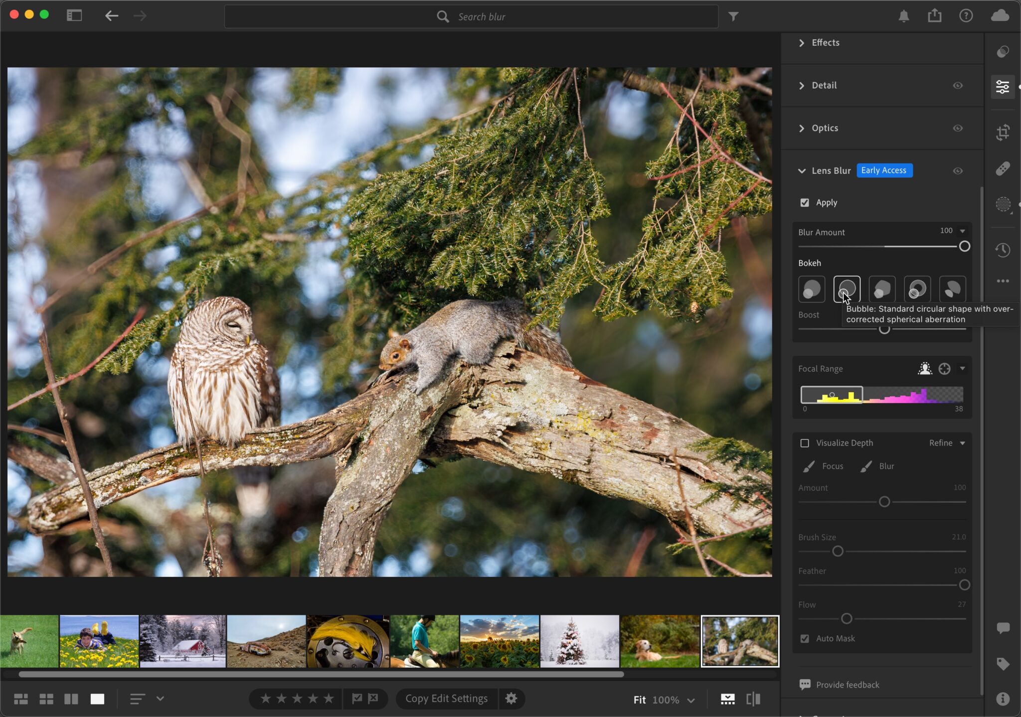 Exploring the New Lens Blur Panel - Lightroom Killer Tips