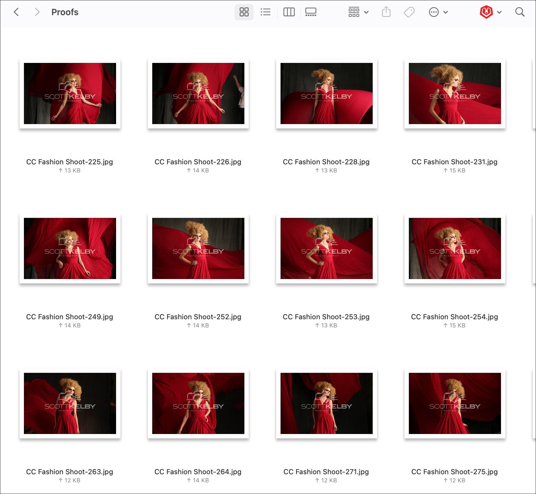 How to Watermark Images For Online Proofing (follow-up to Monday's post ...