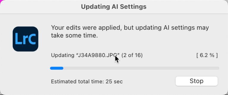 Adaptive Presets for Lens Blur - Lightroom Killer Tips