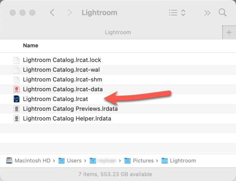 Tools for Your Catalog - Lightroom Killer Tips